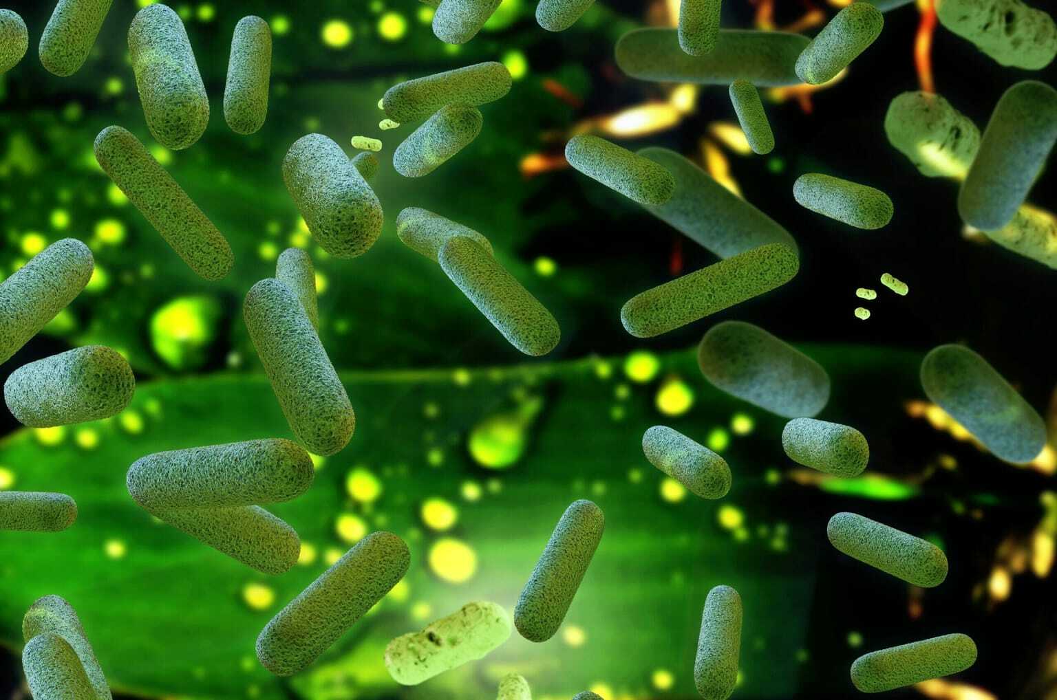 Legionellen: Wie sich das Risiko mindern lässt - Health&Care Management