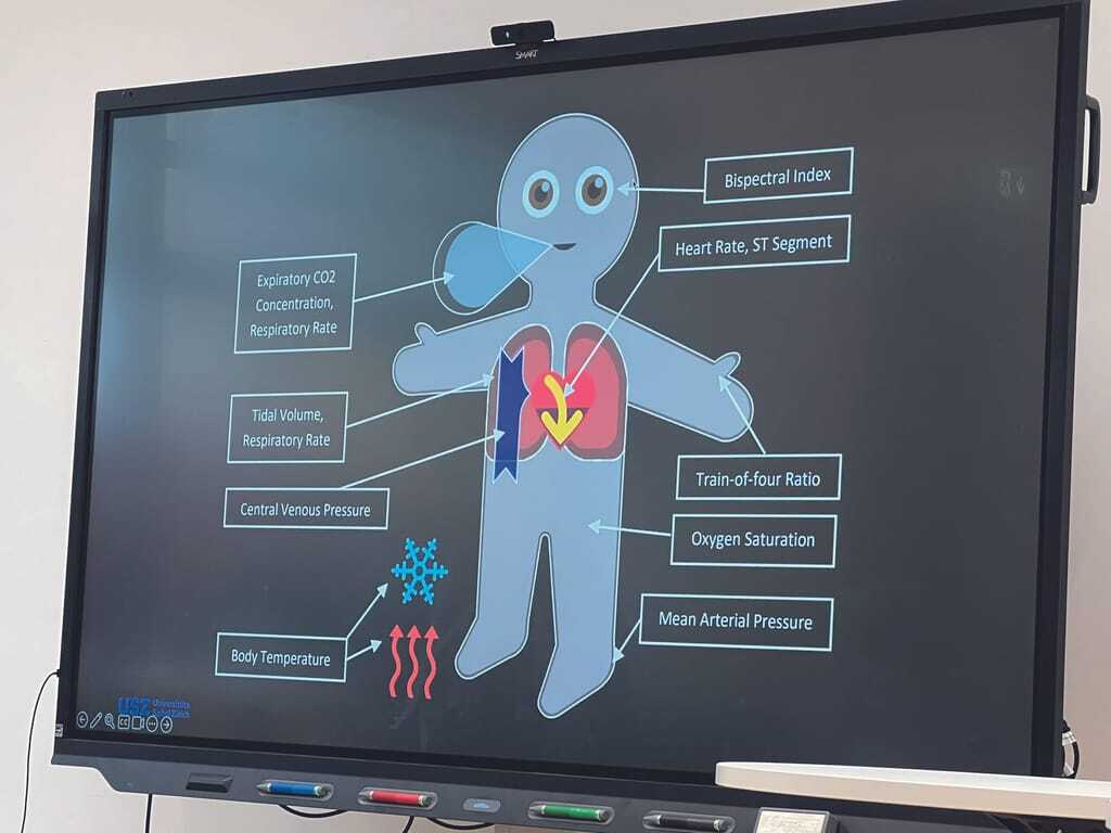 Avatar in der Anästhesie - Health&Care Management