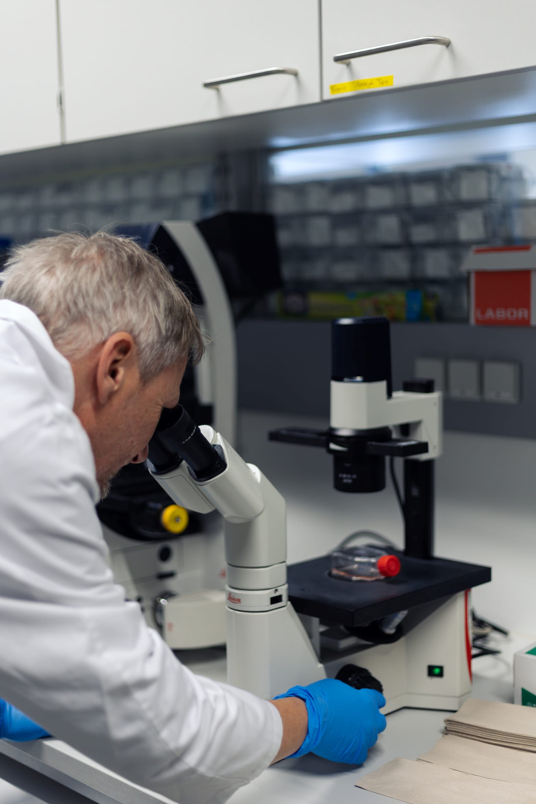 Optogenetik: „Lichtschalter“ für spezielle Rezeptoren entwickelt ...